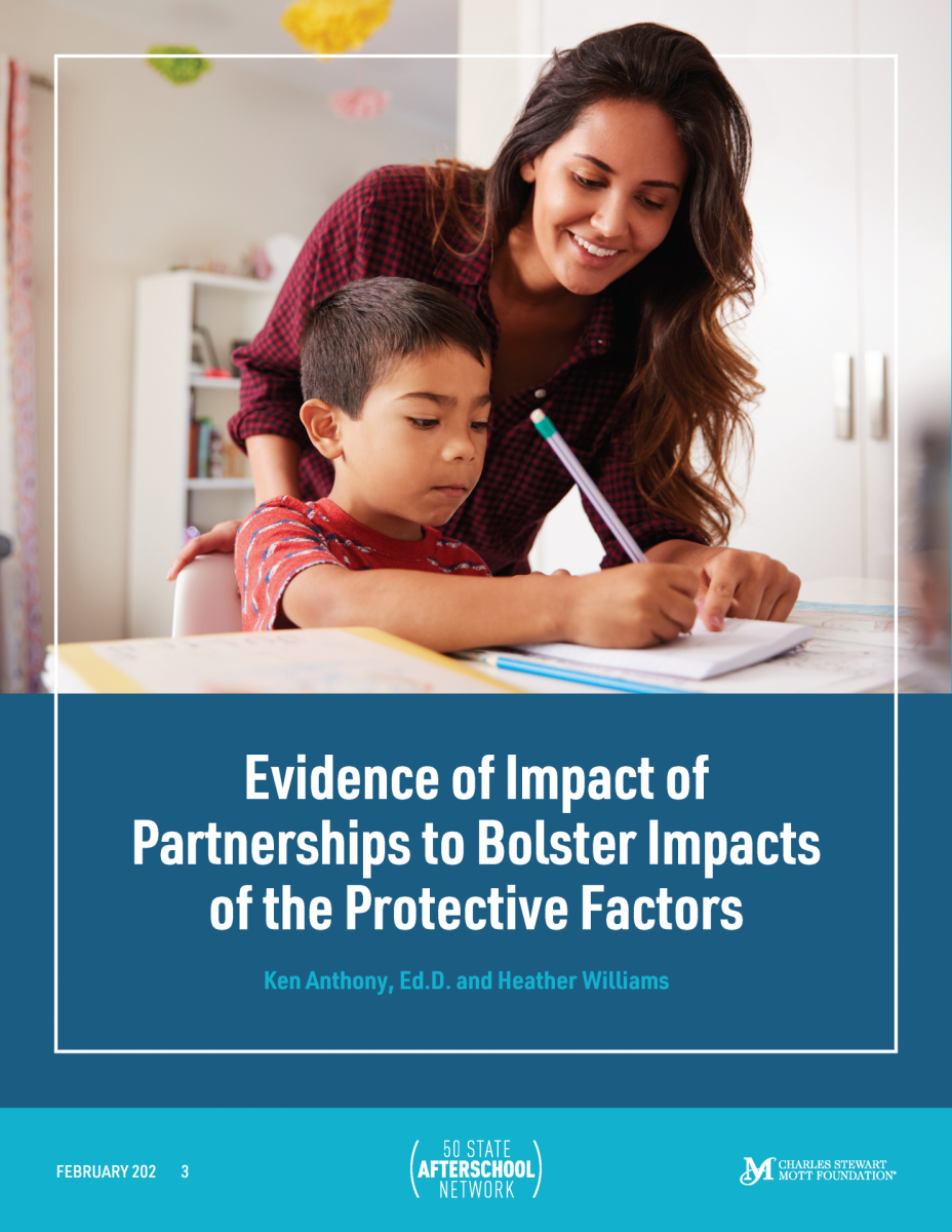 Evidence of Impact of Partnerships to Bolster Impacts of the Protective ...